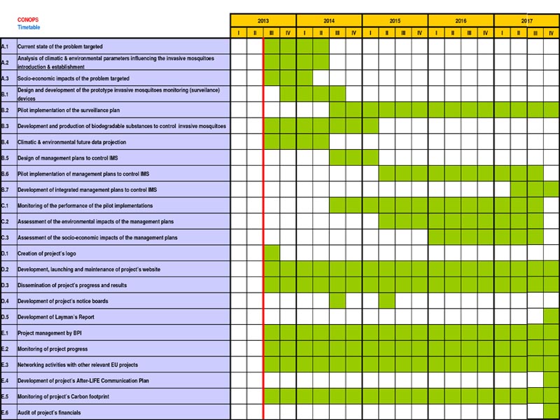 Project Timetable